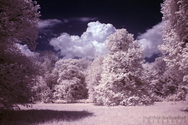 Die faszinierende Welt der Infrarotfotografie