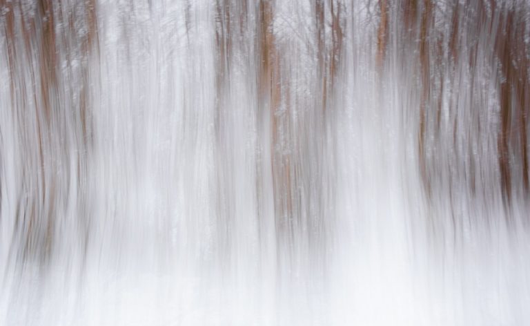 Malen mit der Kamera: Gestische Fotografie