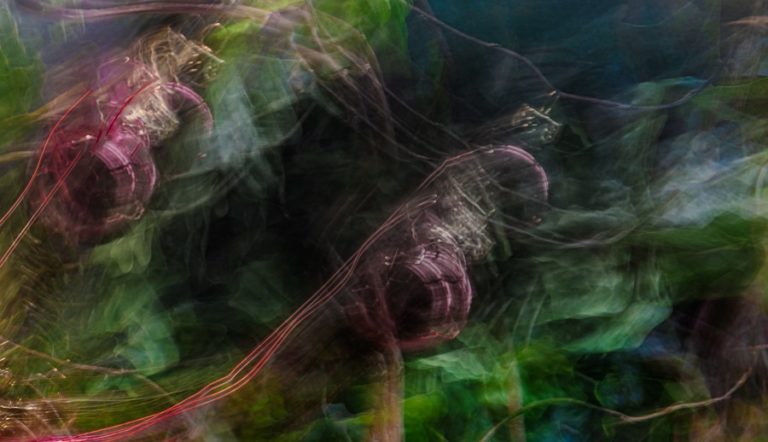 Malen mit der Kamera: Gestische Fotografie