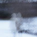 Malen mit der Kamera: Gestische Fotografie