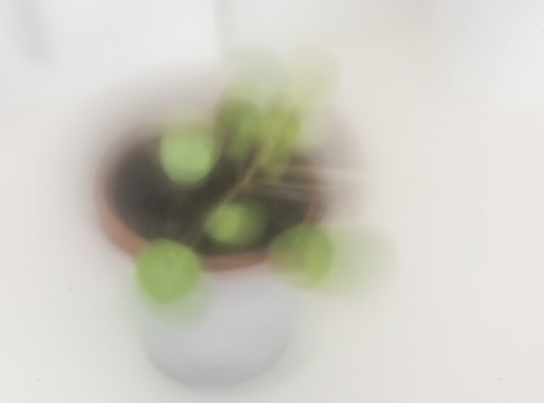 Malen mit der Kamera: Gestische Fotografie